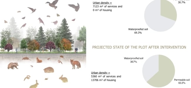 Students team members