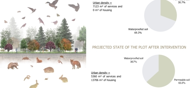 Students team members